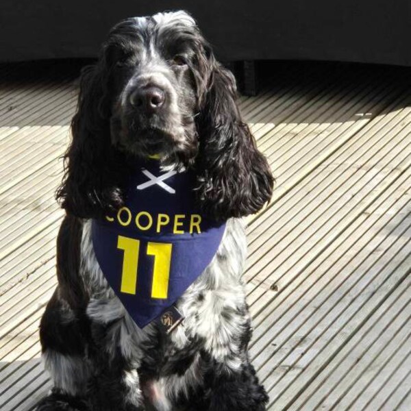 Liverpool FC Style Dog Bandana - Personalised - Etsy