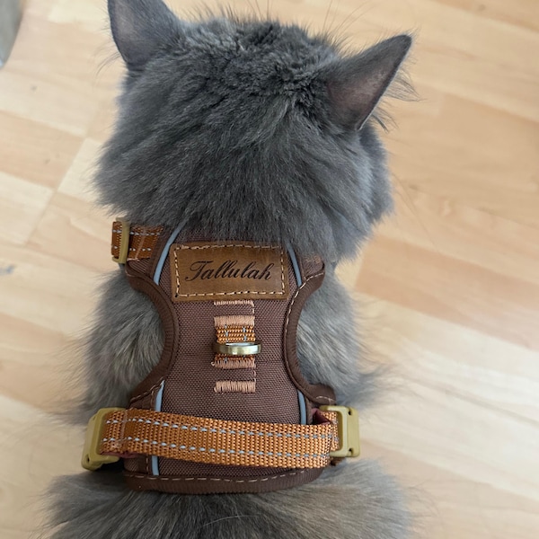 Personalized Pet Harness, Night Reflective Collar With Customized Name ...