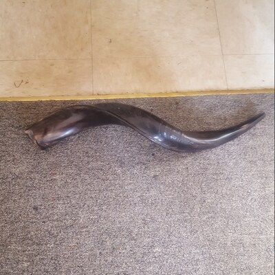 High Quality Yemenite Kudu Shofar With Great Sound Half-polished 2024 ...