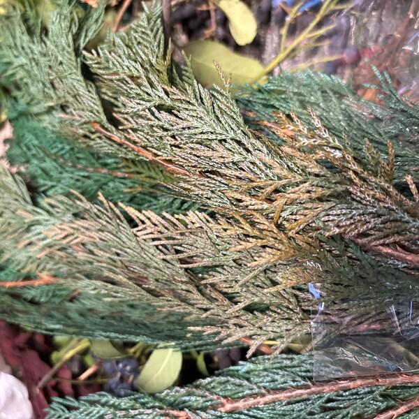 Preserved Cedar Foliage - Cedar Greenery - Winter Greenery - Evergreen ...