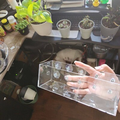 Suction Cup Window Planter 9x3x3 Large Window Box Style. Attaches to ...