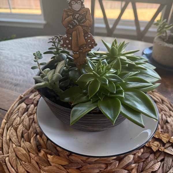 Bern in a Fern - Grumpy Bernie Garden Gnome Plant Stake - Handmade in ...