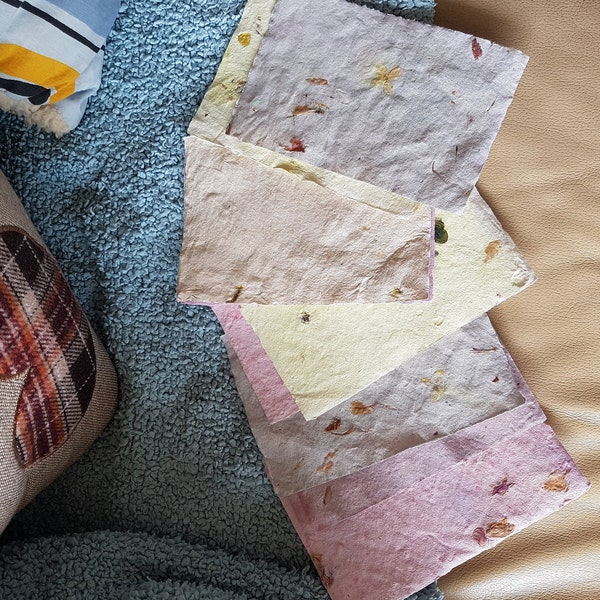 Isopod Sticker Sheet With 9 Eco Paper Stickers - Etsy