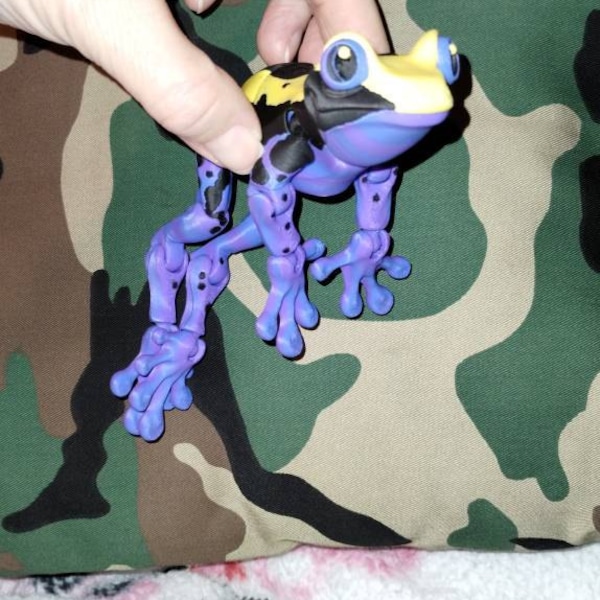 3D Printed Articulated Frog Fidget Toy: Build Your Own Family - Etsy