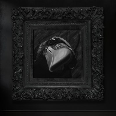 Dark Baroque Gallery Wall 6 Frame Variety Whimsigoth Aesthetic Vintage ...