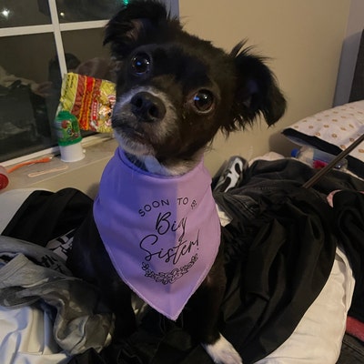 Sploot Definition Tattoo Inspired Wall Art Dog Lovers Print Bold Black ...