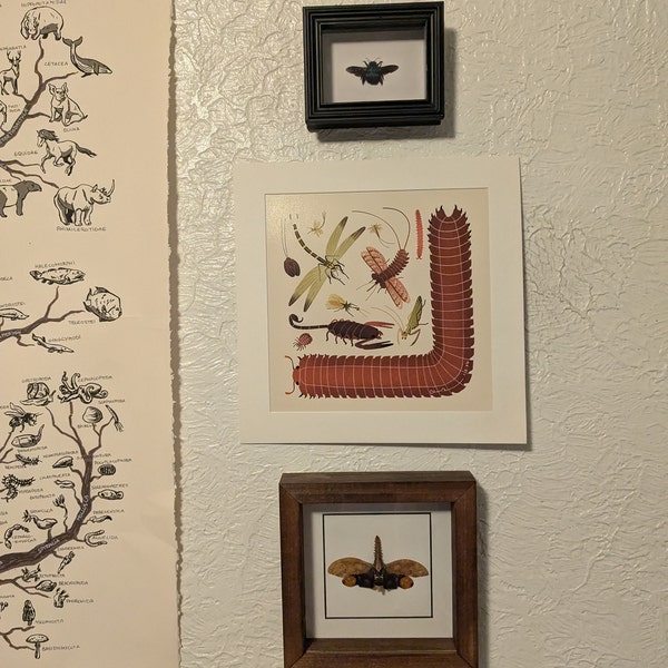 Katydid Circle Emboss Waterproof Sticker 3x3" - Etsy