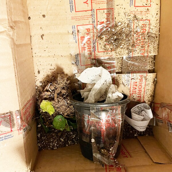 AMERICAN FAMILY of the Colonial Era Paper Dolls in Full Color Uncut - Etsy