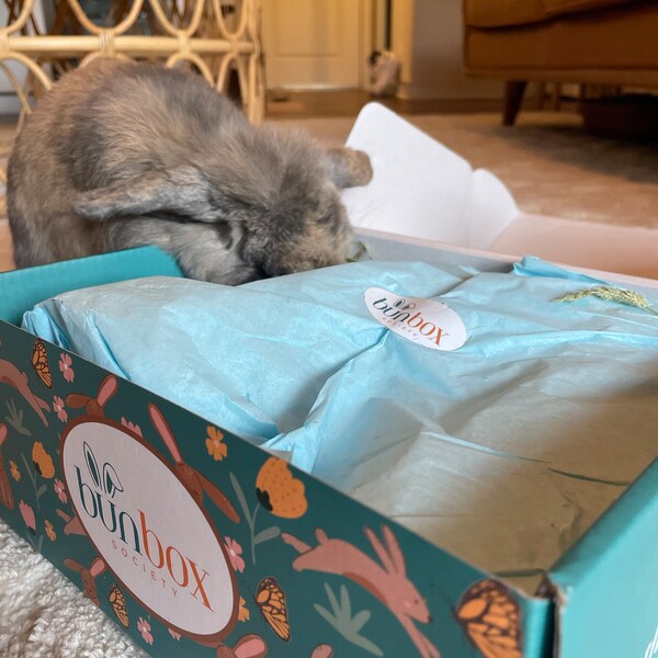 I Love Art and Bunnies T-shirt for Bunny Mom, Rabbit Lover T-shirt ...