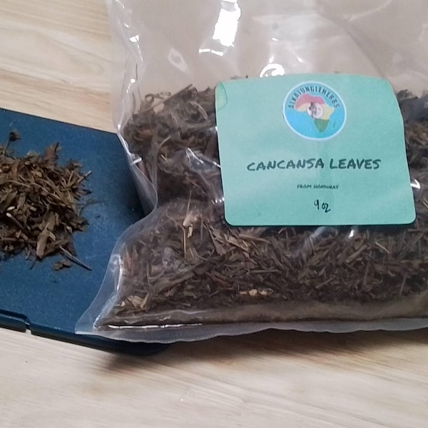 Cancansa Leaves, Wild Grown From Honduras 1lb 29 - Etsy