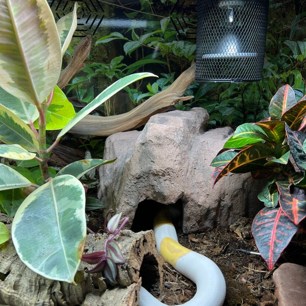 Heather + Plantain Leaf - Supertortoise ( Food Topping for Tortoises ) - Etsy