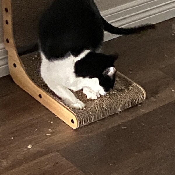 Weirdcore Gift Box - Etsy