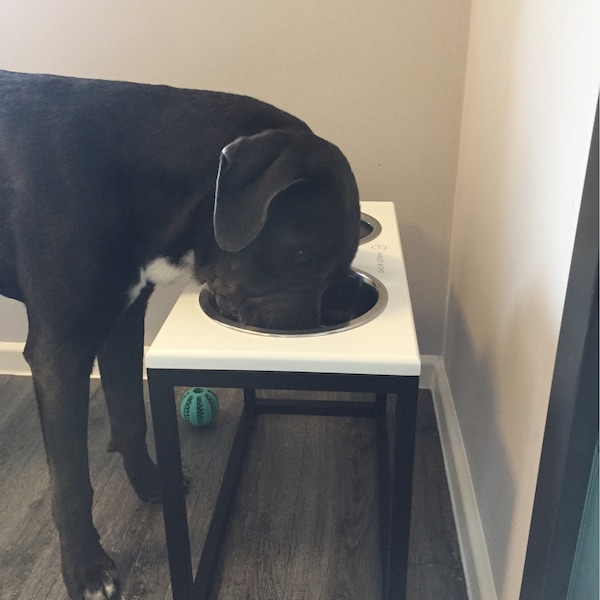 Elevated Dog Feeding Table for Large Size Dog / Raised Feeder for Big ...