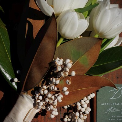 Dried Long Stem Tallow Berry Bundle Tallowberries Natural Decor Antique ...