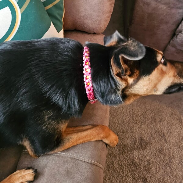 Custom Paracord Neck Rein - Etsy