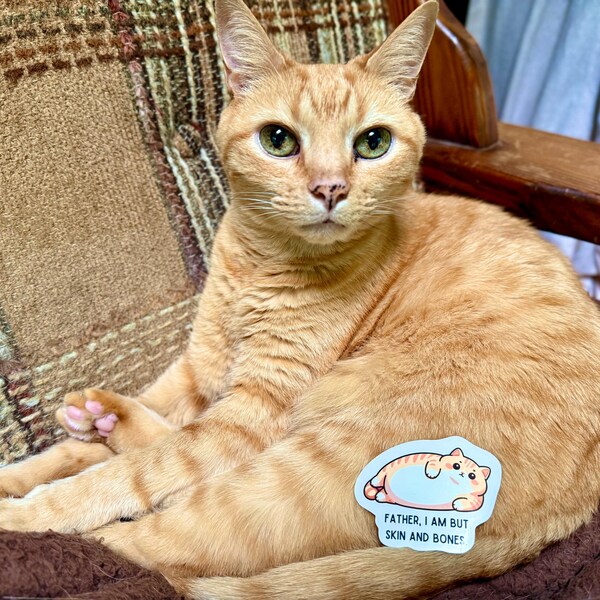 Be Kind to Your Mind Sticker, Mental Health Sticker, Therapy Sticker ...