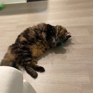 Kuchi Kopi Catnip Toy bobs Burgers | Etsy