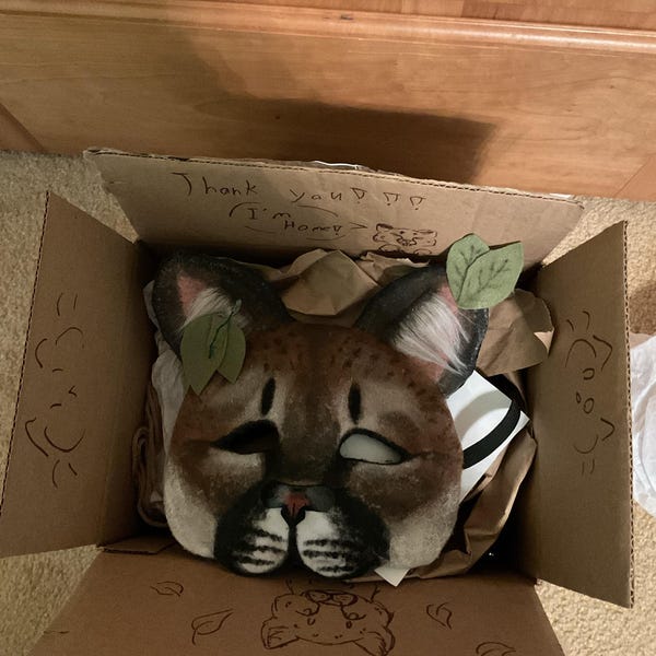 Silver Fox Costume Mask With Removable Butterfly Wing Accessory - Etsy