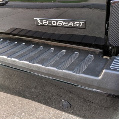 Gel Coated domed FORD ECOBEAST Emblem Overlay: Fits Ford 2010-14 - Etsy