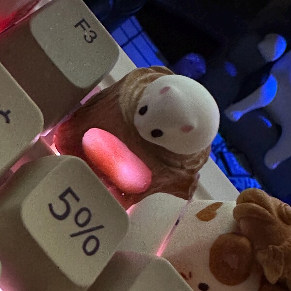 Pet Cat Costume Taiyaki Fish Shaped Bread Hat Cosplay Cute - Etsy