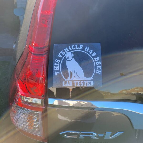 This Vehicle Has Been Lab Tested | High Quality Adhesive Labrador ...