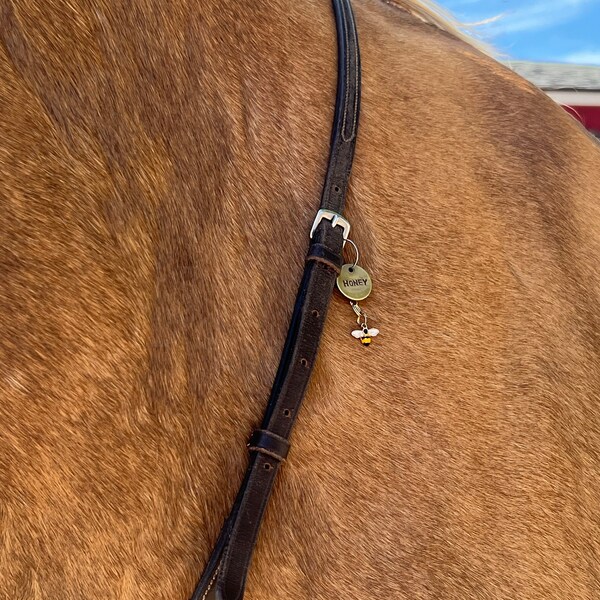 Western Inspired 2 Inch Woven Snaffle Bit Belt. - Etsy