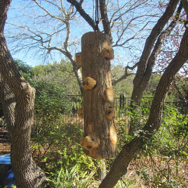 Gilwood Slot Box Bluebird House - Etsy