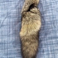 Eco Friendly Kit Fox Tails - Etsy