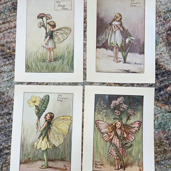 Flower Fairies: the PRIMROSE FAIRY Vintage Print C1930 by Cicely Mary ...