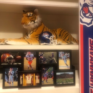 FAMU RATTLERS Chrome Two Panel License Plate Frame - Etsy