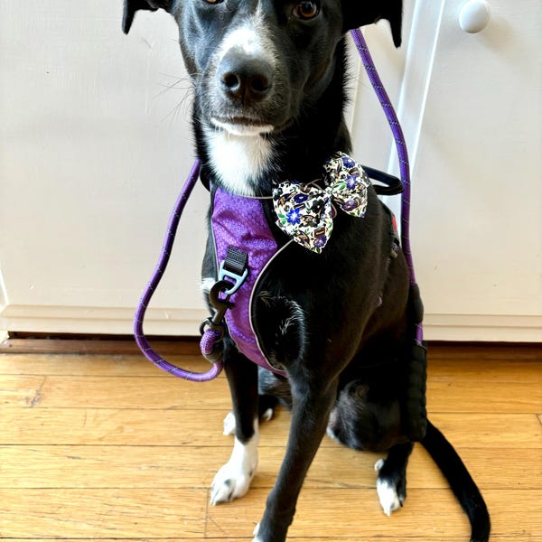 Baltimore Ravens and Flowers Inspired Hair Bows - Etsy