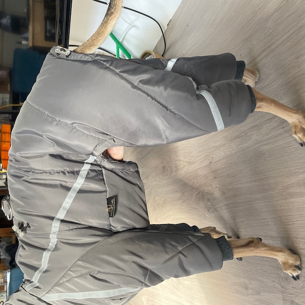 Dog Winter Clothes Bright Overall Snowsuit Dog Full Body Suit Custom ...