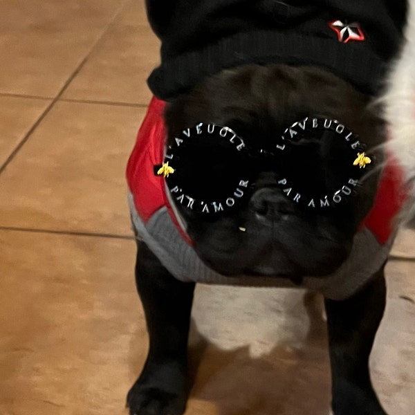 Fabulous Fido Dog Warm Sweater, French Bulldogs Winter Wool Clothes ...