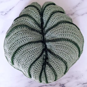 Crochet Polka Dot Begonia Plant Pattern Photo Tutorial - Etsy