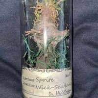 Vintage Vampire Hunting Kit Shadow Box Black and White - Etsy Canada