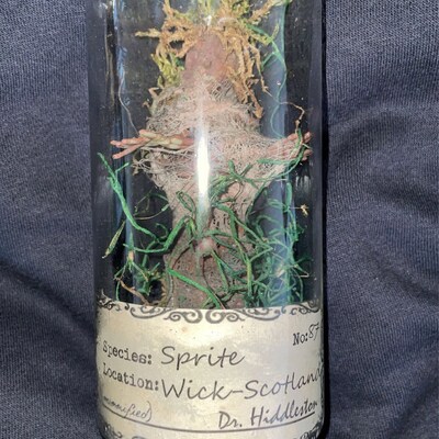 Vintage Exorcism Kit Shadow Box Dark Grey - Etsy