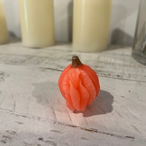 Vagina Rose Silicone Mold. Yoni Mold. Vulva Mold | Etsy