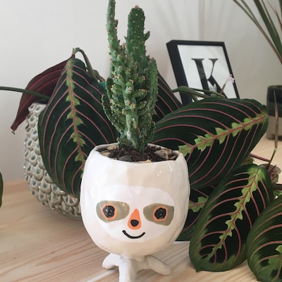 The Very Fun Collection 3 Handmade Ceramic Plant Pot, Succulent Pot ...