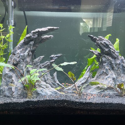 2-4 Gallon Nano Aquascape Decor SOUL CANYON Aquarium Dragon - Etsy