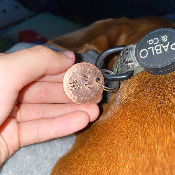 Tiny Pet Id Tag | Engraved Dog Name Tag | Dog Tag | Small Dog Tags for ...