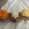 Fusion Flowers East Meets West Seashell Rose Handmade With Indo-pacific ...