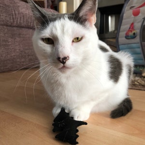 Magical Purple Moon Cat Toy With White Embroidered Stars - Etsy