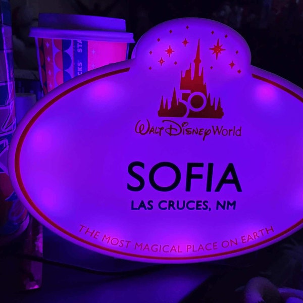 Custom Large 3D Printed Disney Cast Member Name Tag Decoration - Etsy