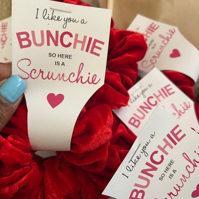 Scrunchie Valentines. Girl Teen Tween Hair Tie. Like You a Bunchie Here ...