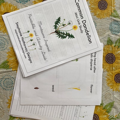 Dandelion Mini Unit Study Bundle - Etsy