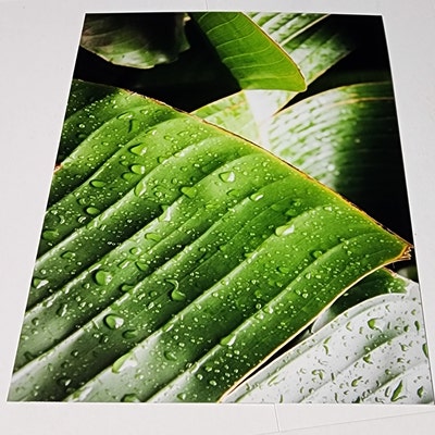 Double R Diner Photograph, Twin Peaks Photo Print, Twedes Cafe Photo ...