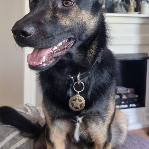 Letter "a" Dog Tag-pet ID Tag-unique Pet Tag-custom Hand Crafted ...