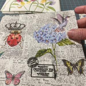 4 Decoupage Paper Napkin of Red Robin & Poppy - Etsy