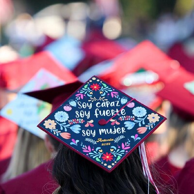 Pinkie Pearl and Educated Pretty Girls Grad Cap Topper, AKA Graduation ...