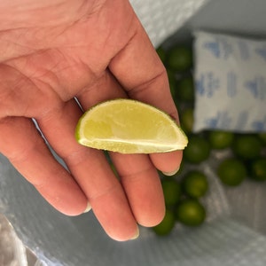 2-2.5lbs FRESH BURDOCK Rootgobo Root Bardana Free Shipping - Etsy